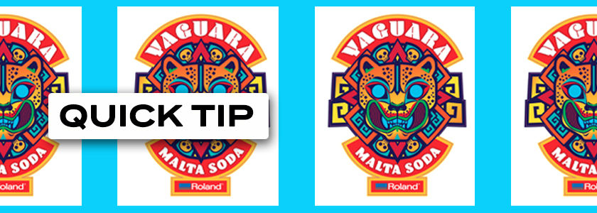 Perf Cut Image Boundaries with the VG2 | Roland